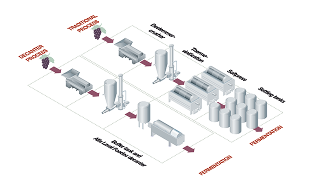 Grape juice extraction FAQ | Alfa Laval