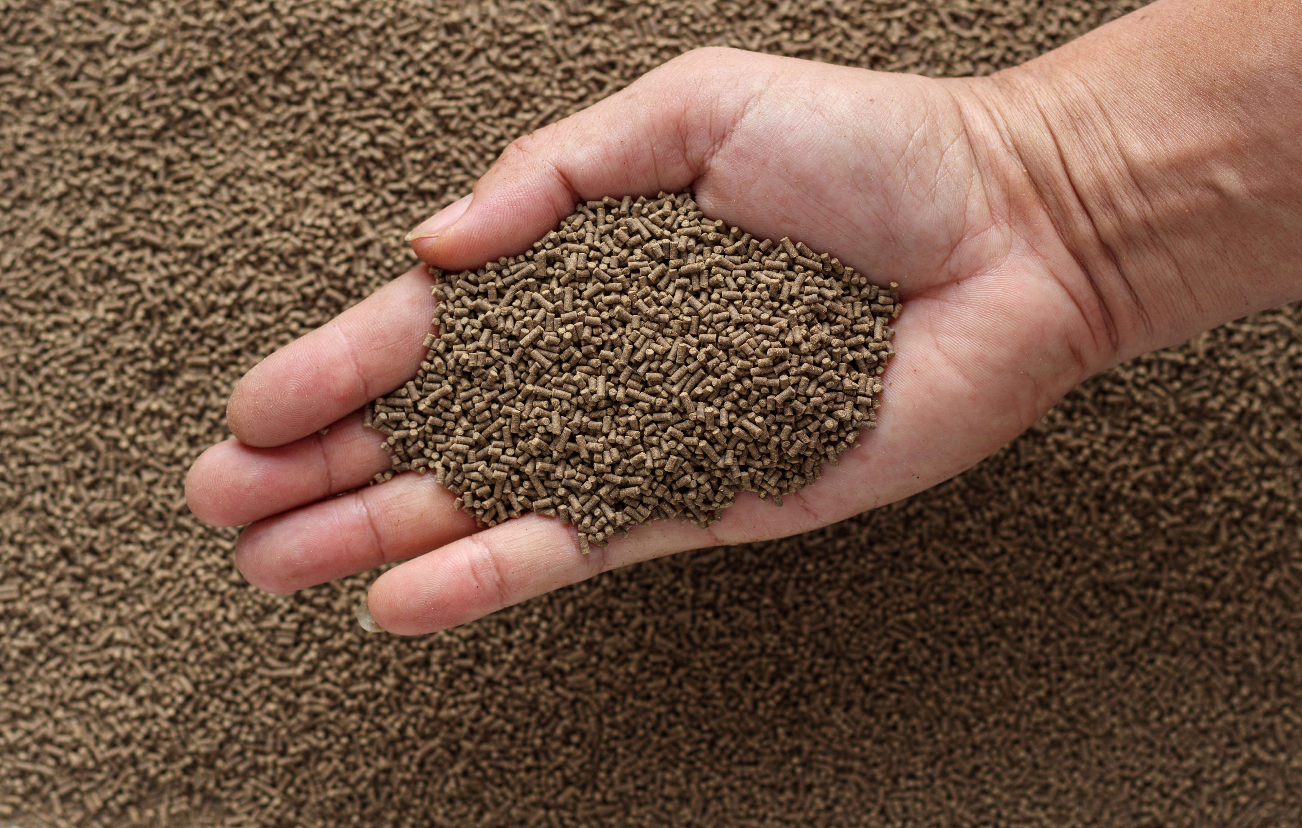 Fish meal processing | Alfa Laval