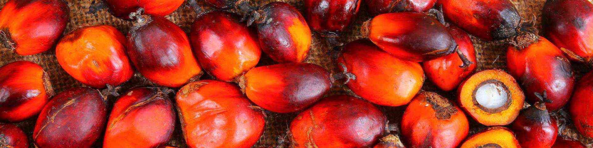 Indonesia: heat transfer, separation, fluid handling | Alfa Laval