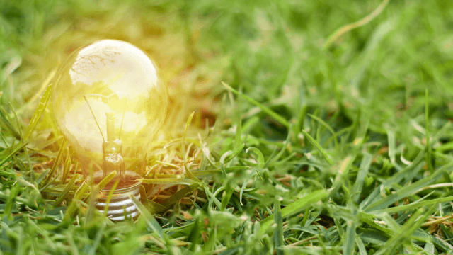 Circular Economy Accelerator program reveals promising pilot results ...