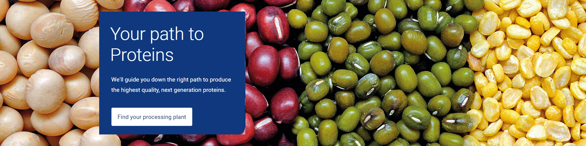 Your path to proteins | Alfa Laval