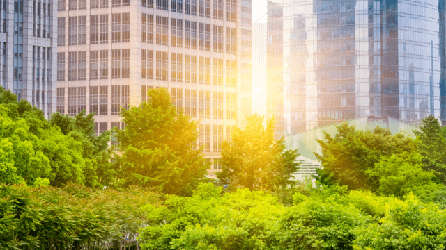 New green buildings strategy to decarbonize and decrease costs | Alfa Laval