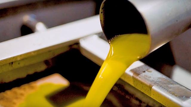 Olive Oil Production | Alfa Laval